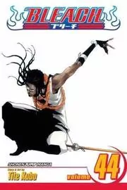 All Tite Kubo Books in Order (Complete List) | Readupnext.com