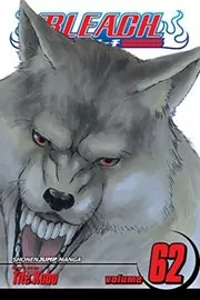 All Tite Kubo Books in Order (Complete List) | Readupnext.com