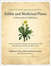 14 Best Botany Books Of All Time (Updated 2024) | Readupnext.com