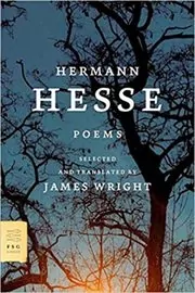 All Hermann Hesse Books in Order (Complete List) | Readupnext.com
