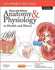 15 Best Anatomy Books Of All Time (Updated 2024) | Readupnext.com